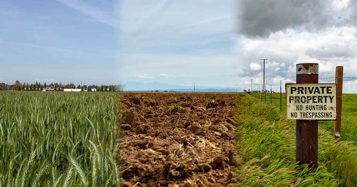 Quick View of Planted, Fallowed and Unused Farmland Acreages | AgNote