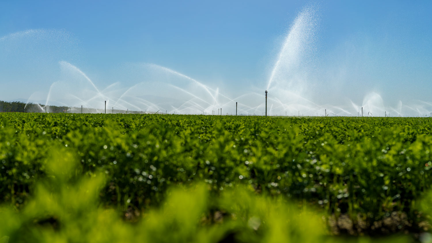 How To Find Easy to Use Farm Management Software | AgNote