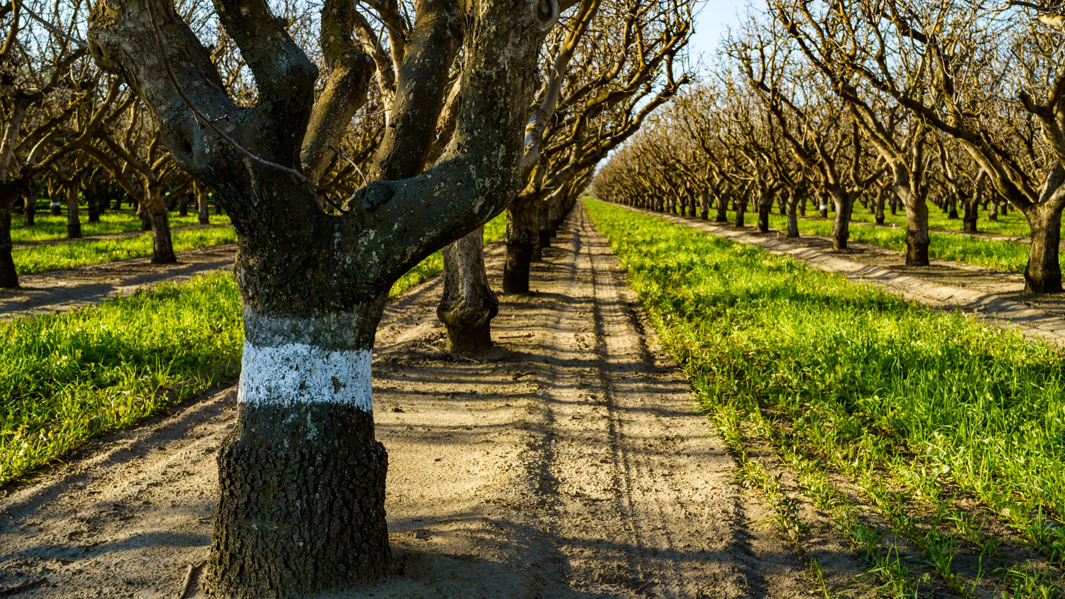 Looking for Easy to Use Farm Planning Software? | AgNote