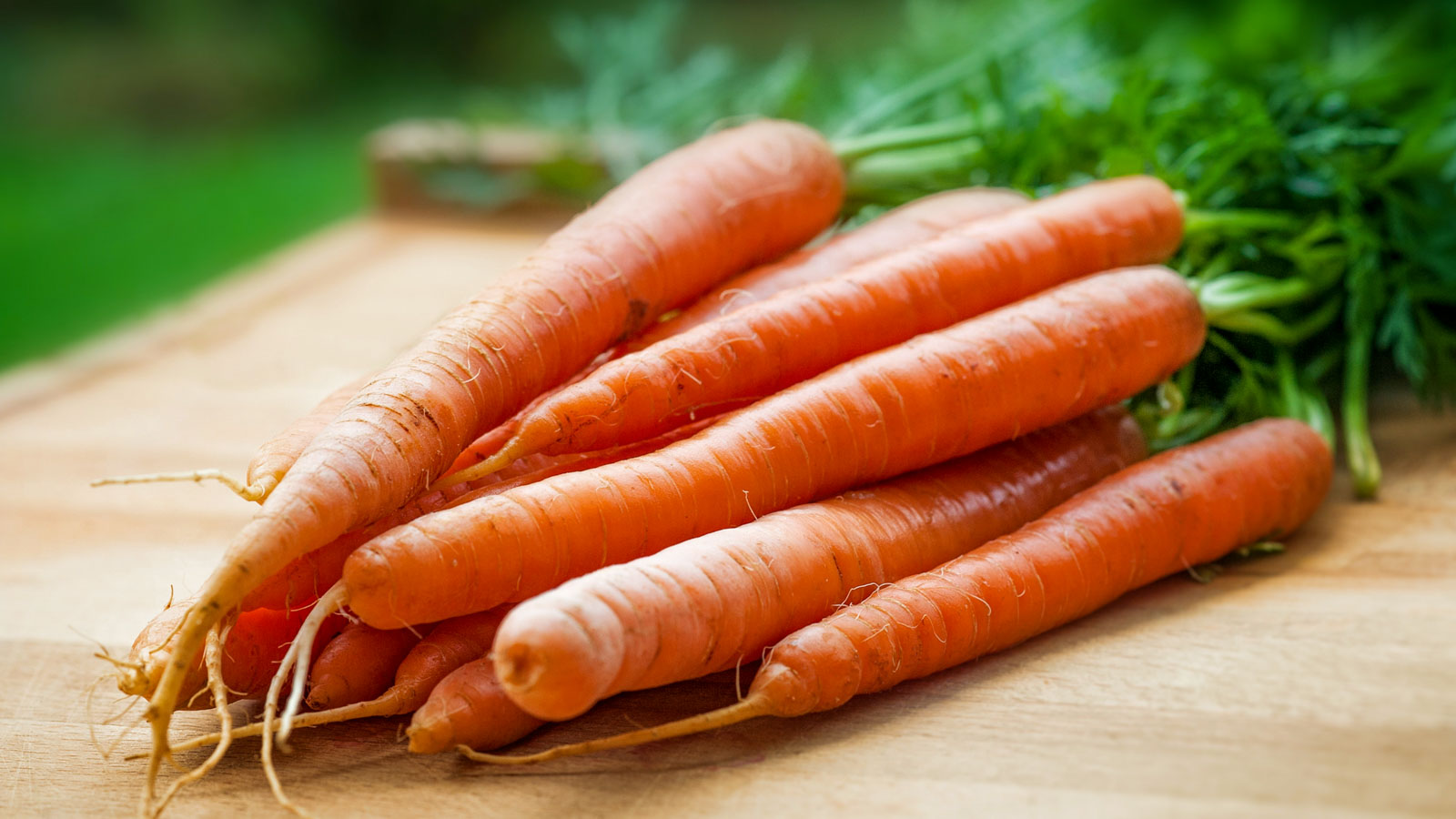 Here Are Some Fun Facts About International Carrot Day | AgNote