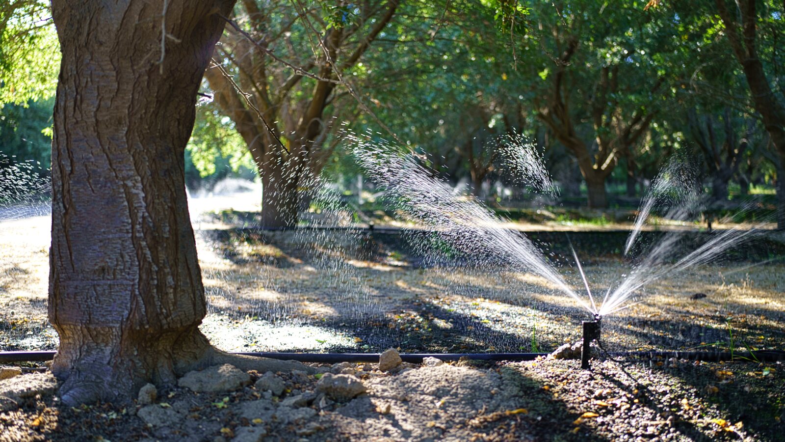 Irrigation Management | AgNote