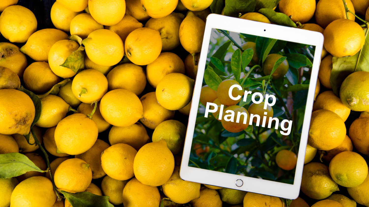 Crop Planning | AgNote