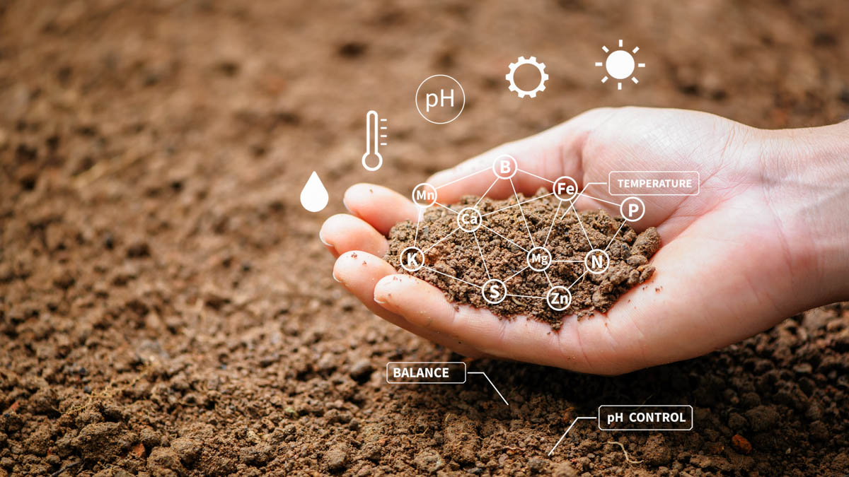 Soil Sampling: A Simple Step to Boost Your Crop Yield | AgNote