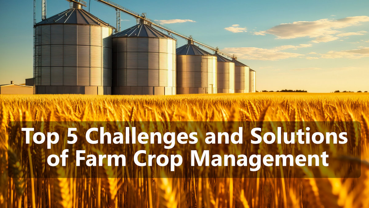 Top 5 Challenges and Solutions of Farm Crop Management | AgNote