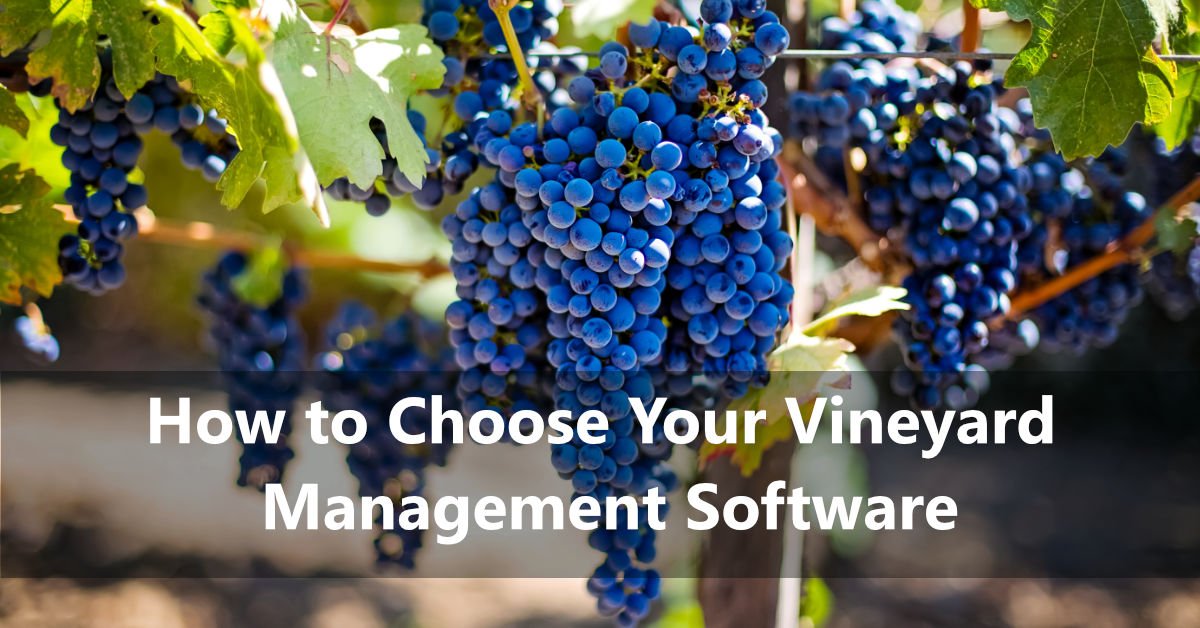 How to Choose the Best Vineyard Management Software | AgNote