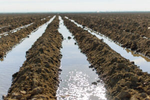 Soil Leaching: The Pros and Cons You Need to Know | AgNote