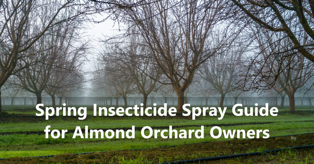 Spring Insecticide Spray Guide for Almond Orchard Owners | AgNote