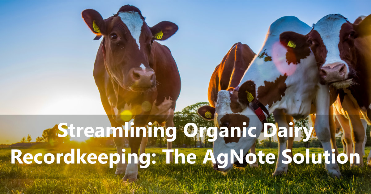 Streamlining Organic Dairy Recordkeeping: The AgNote Solution | AgNote