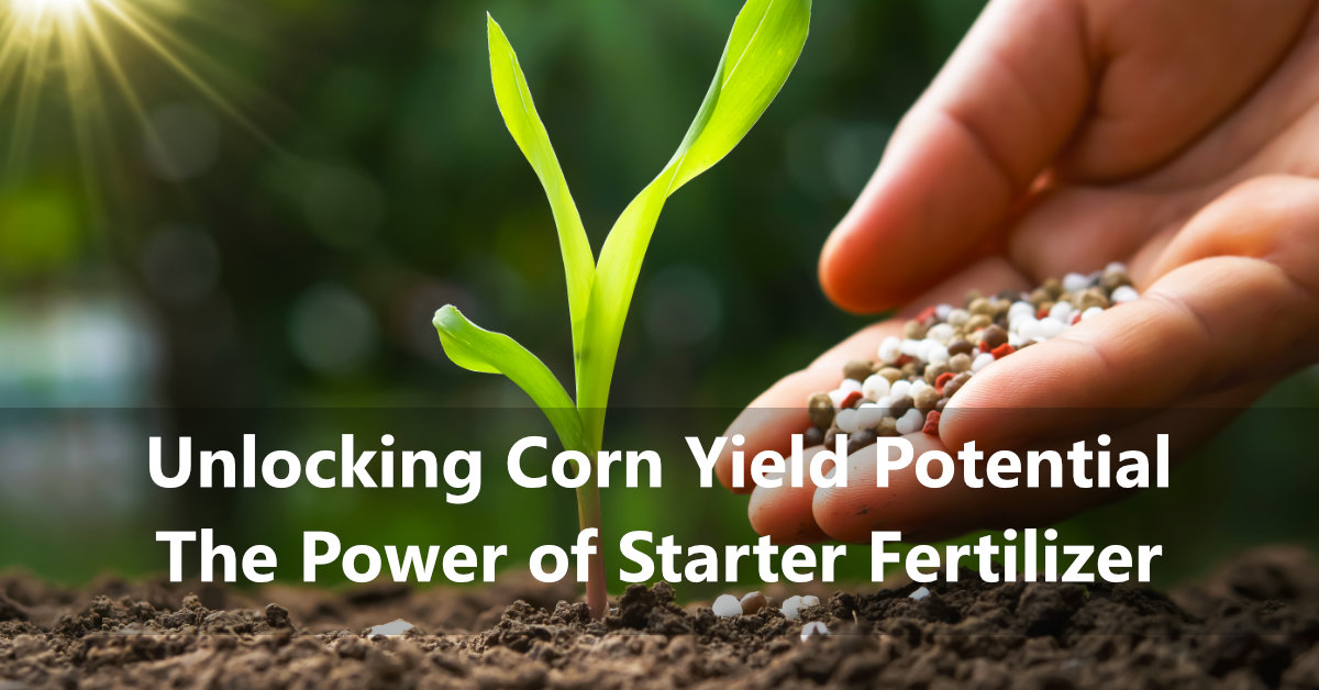 Unlocking Corn Yield Potential: The Power of Starter Fertilizer | AgNote Unlocking Corn Yield Potential: The Power of Starter Fertilizer | AgNote