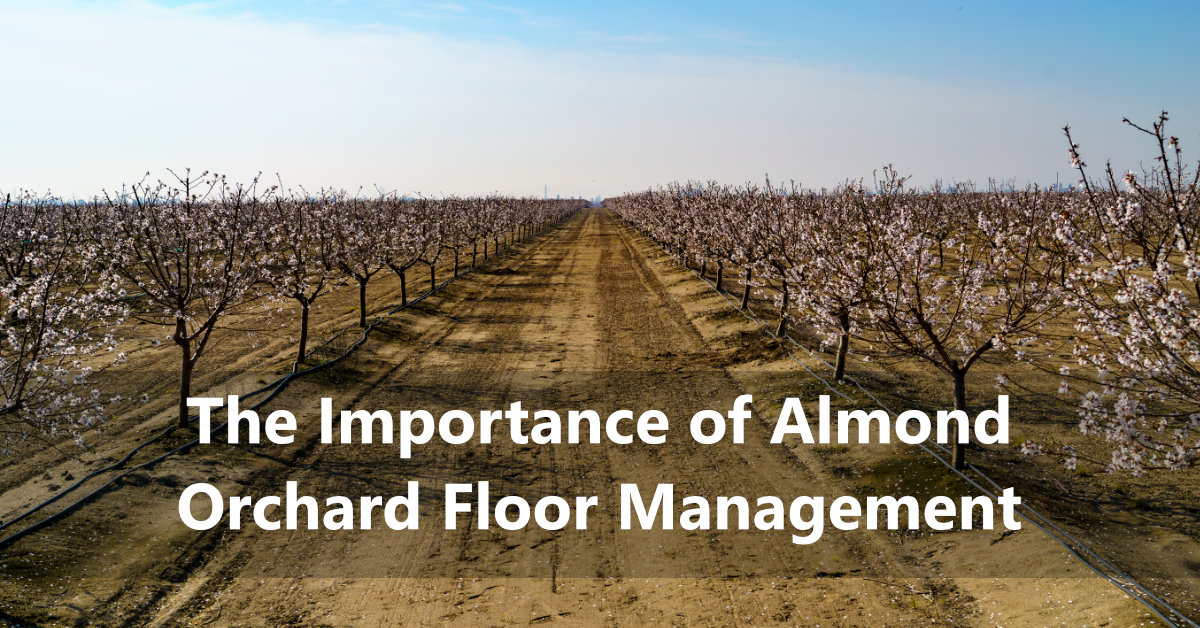 The Importance of Almond Orchard Floor Management | AgNote