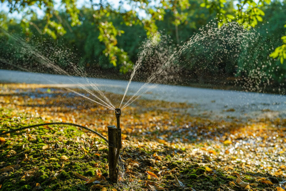 Top Tips for Accurate and Efficient Crop Record Keeping | AgNote