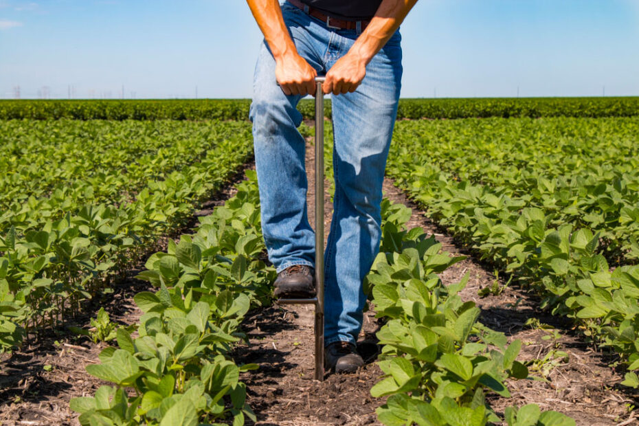 Benefits and Challenges of Soil Testing in Agriculture Today | AgNote