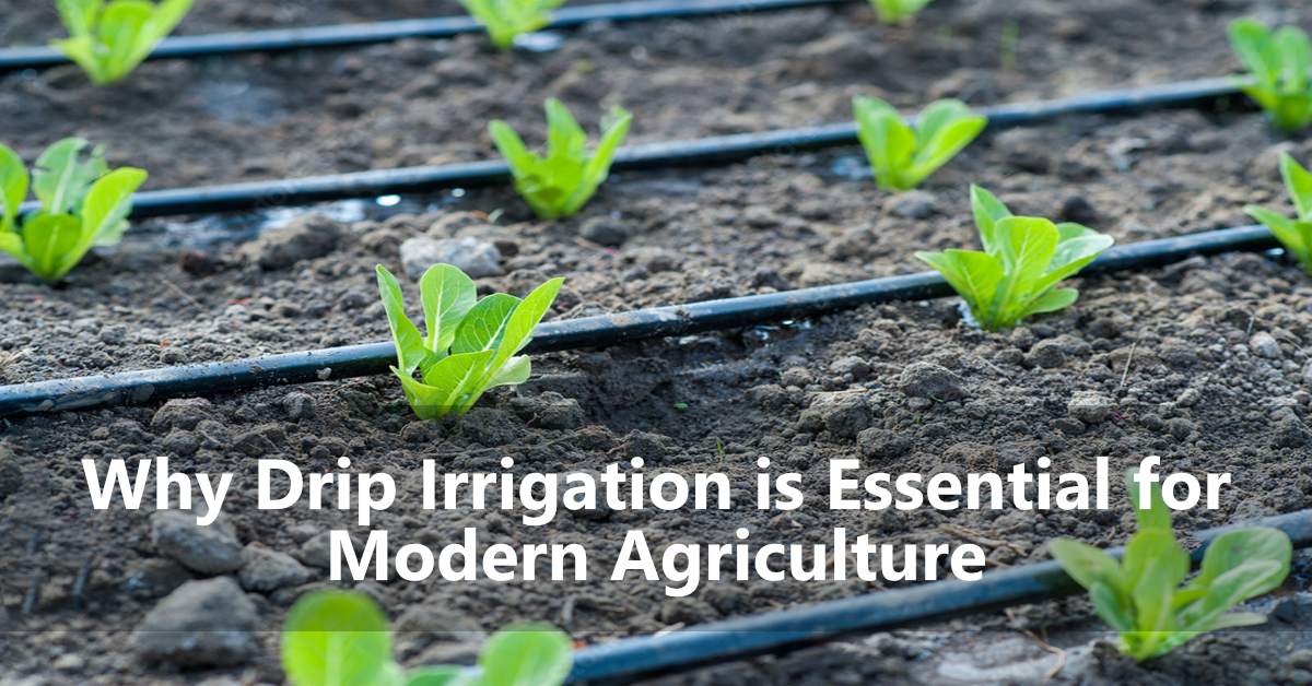 Why Drip Irrigation is Essential for Modern Agriculture | AgNote