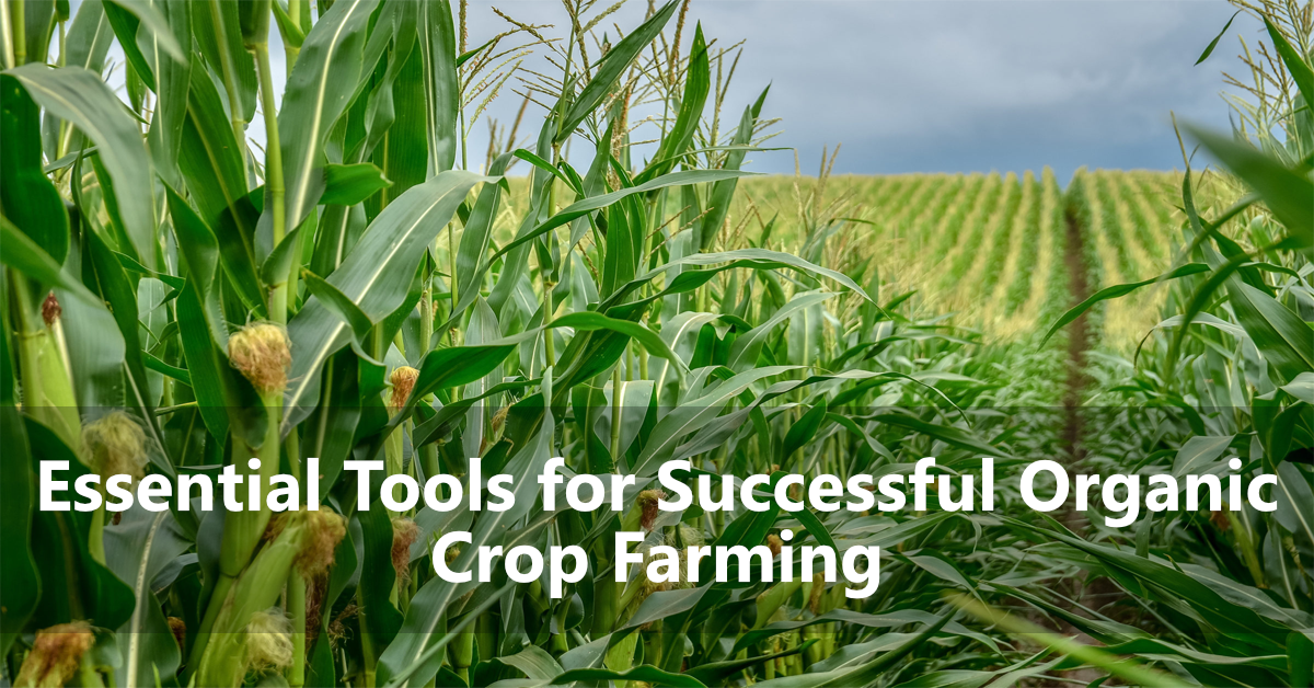 Essential Tools for Successful Organic Crop Farming | AgNote