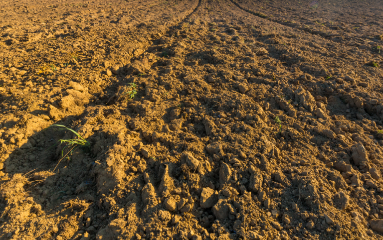 How Conventional Tillage Increases Farm Efficiency | AgNote