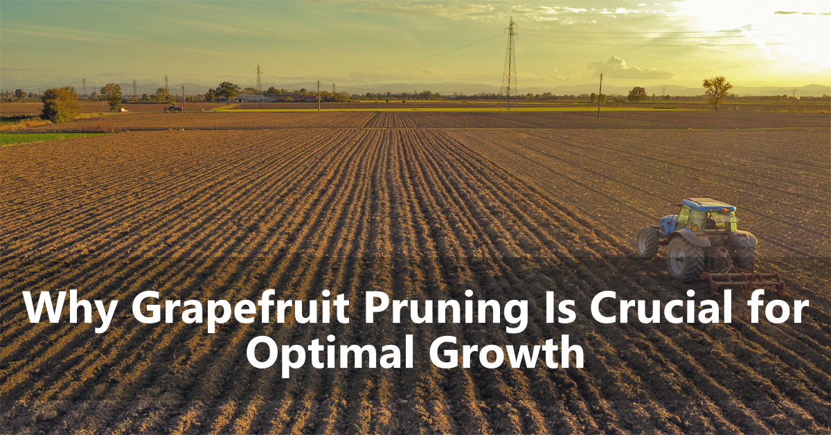 The Role of Land Leveling in Sustainable Agriculture | AgNote