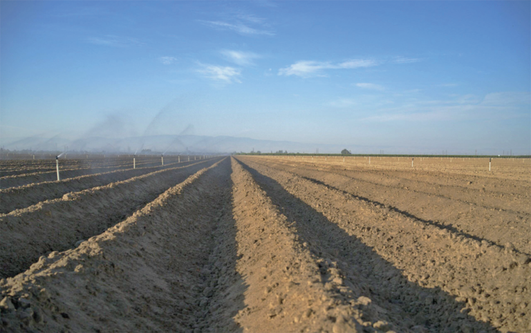 The Role of Land Leveling in Sustainable Agriculture | AgNote