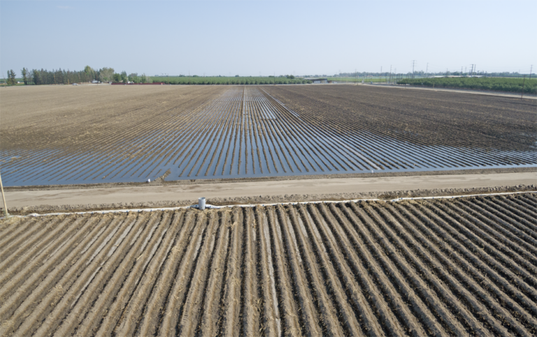 A Comprehensive Guide to Efficient Row Irrigation Methods | AgNote