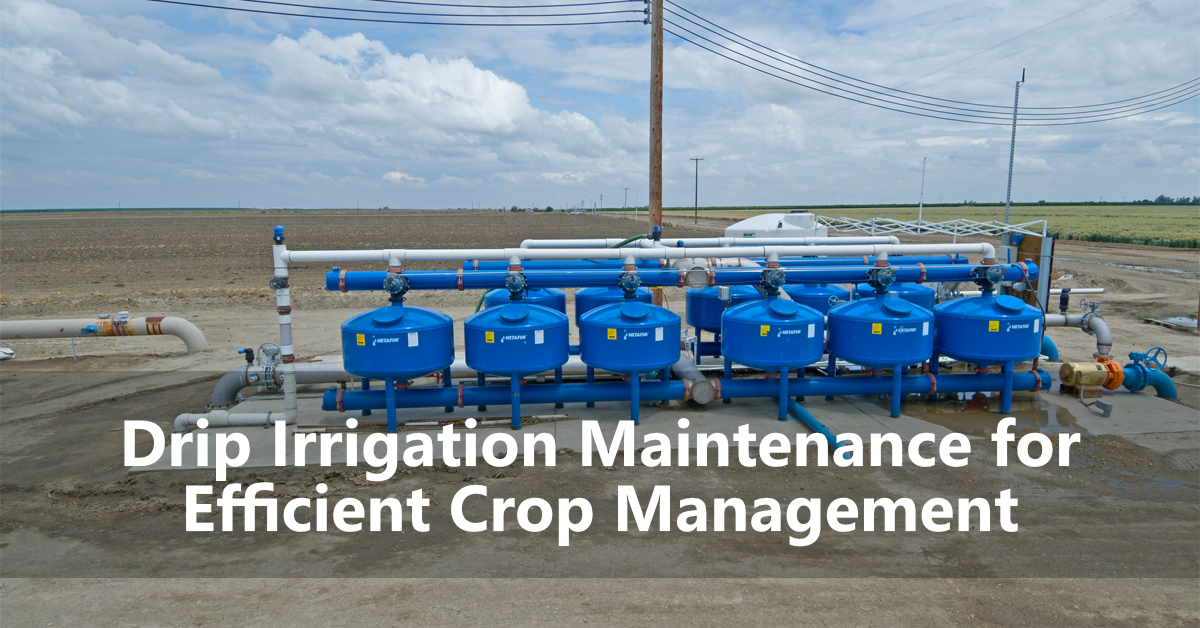 Drip Irrigation Maintenance for Efficient Crop Management | AgNote