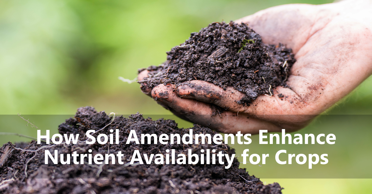 How Soil Amendments Enhance Nutrient Availability for Crops | AgNote