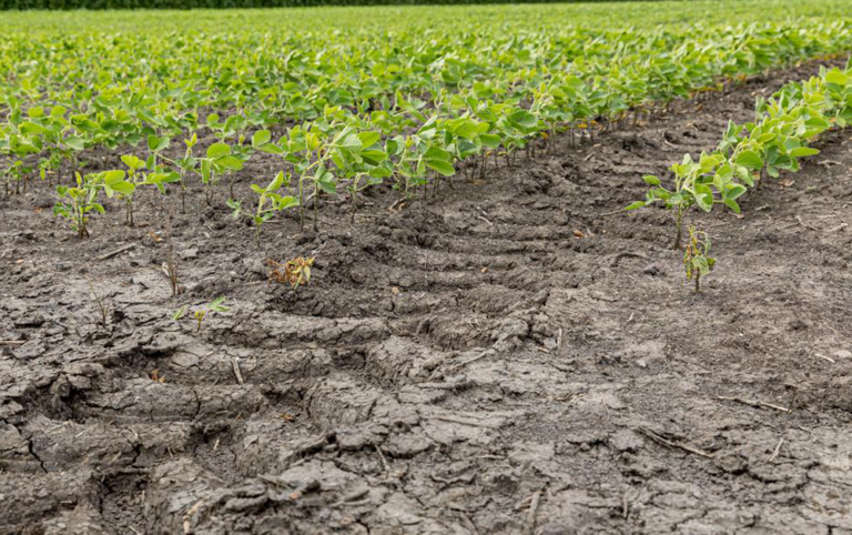 Understanding the Role of Soil Compaction in Agriculture | AgNote