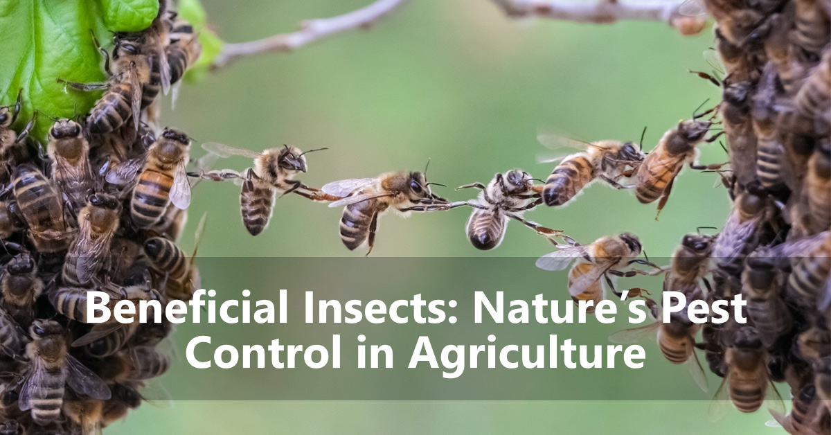 Beneficial Insects: Nature’s Pest Control in Agriculture | AgNote