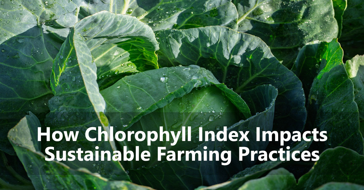 How Chlorophyll Index Impacts Sustainable Farming Practices | AgNote