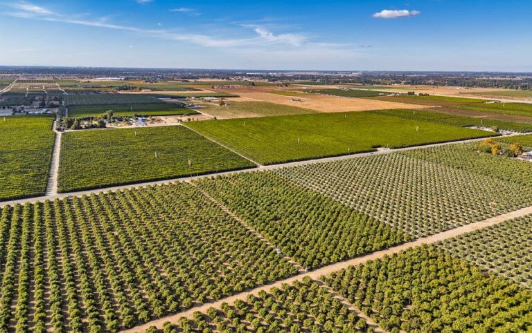 How Wind Machines Safeguard Orchards Against Frost Damage | AgNote