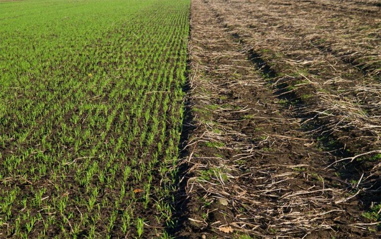 Crop Rotation: A Vital Practice for Sustainable Agriculture | AgNote