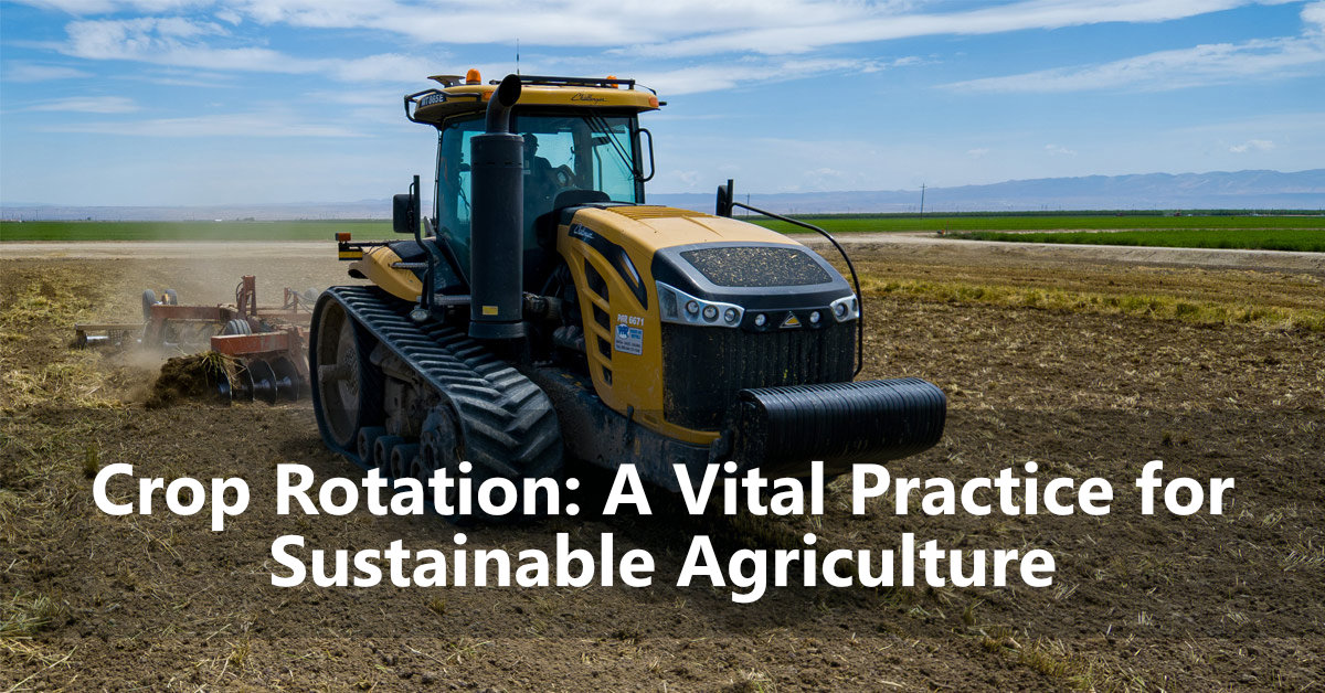 Crop Rotation: A Vital Practice for Sustainable Agriculture | AgNote