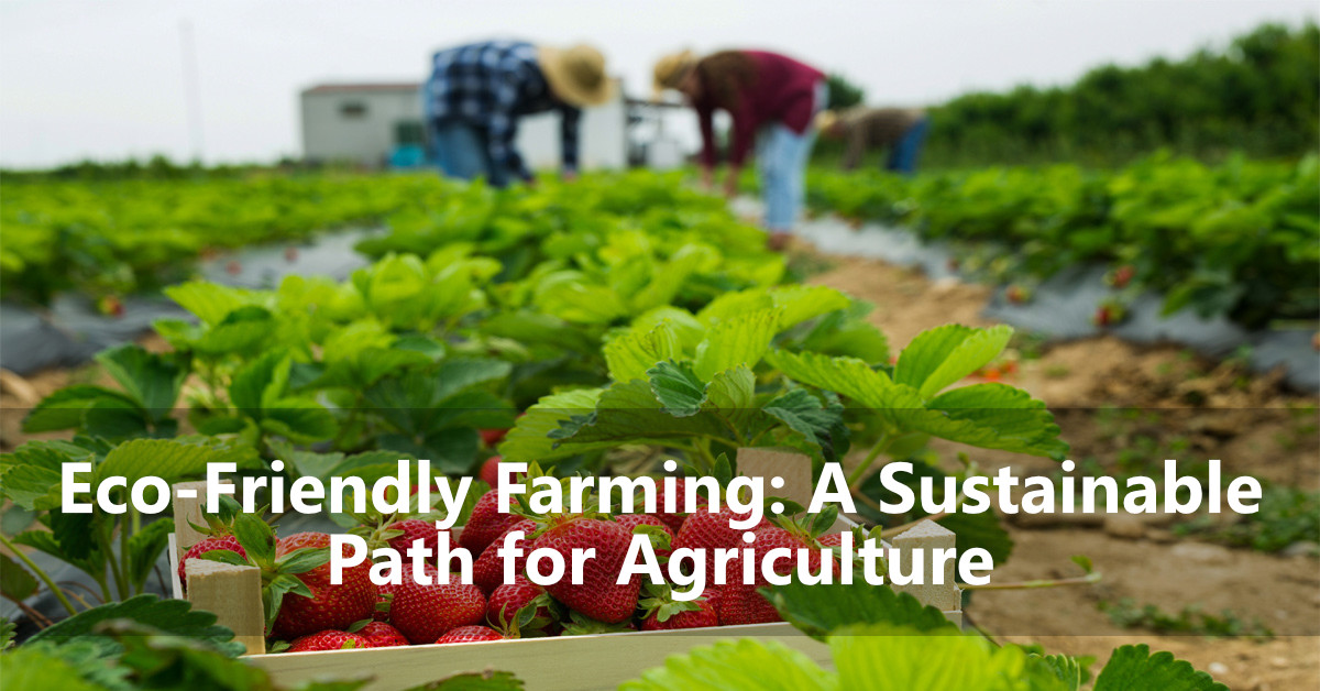 Eco-Friendly Farming: A Sustainable Path for Agriculture | AgNote