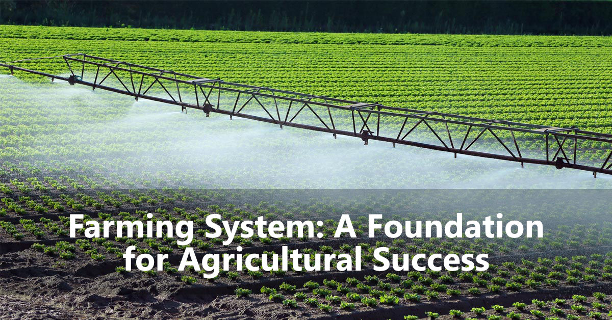Farming System: A Foundation for Agricultural Success | AgNote