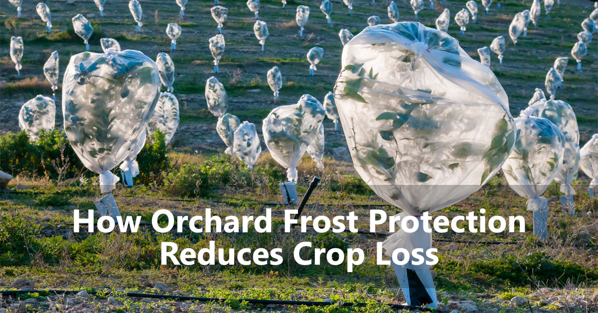 How Orchard Frost Protection Reduces Crop Loss | AgNote