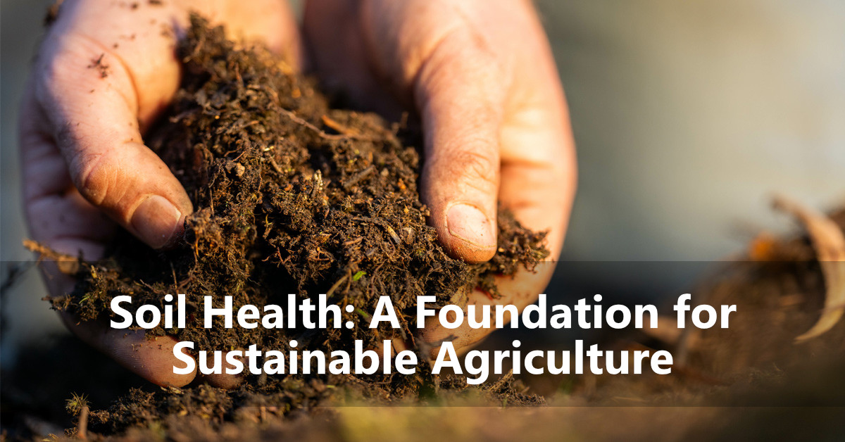 Soil Health: A Foundation for Sustainable Agriculture | AgNote