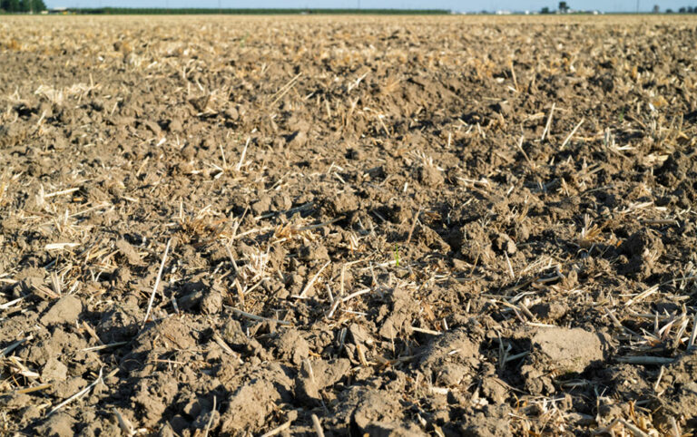 How to Improve Soil Structure for Sustainable Farming | AgNote