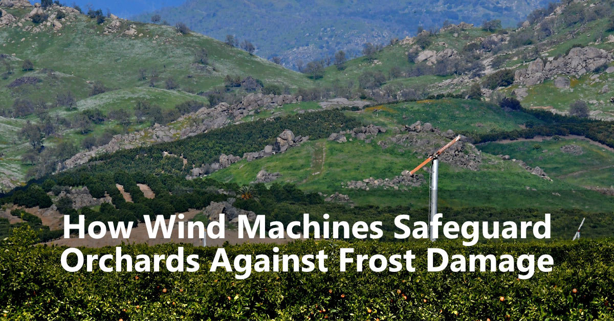 How Wind Machines Safeguard Orchards Against Frost Damage | AgNote