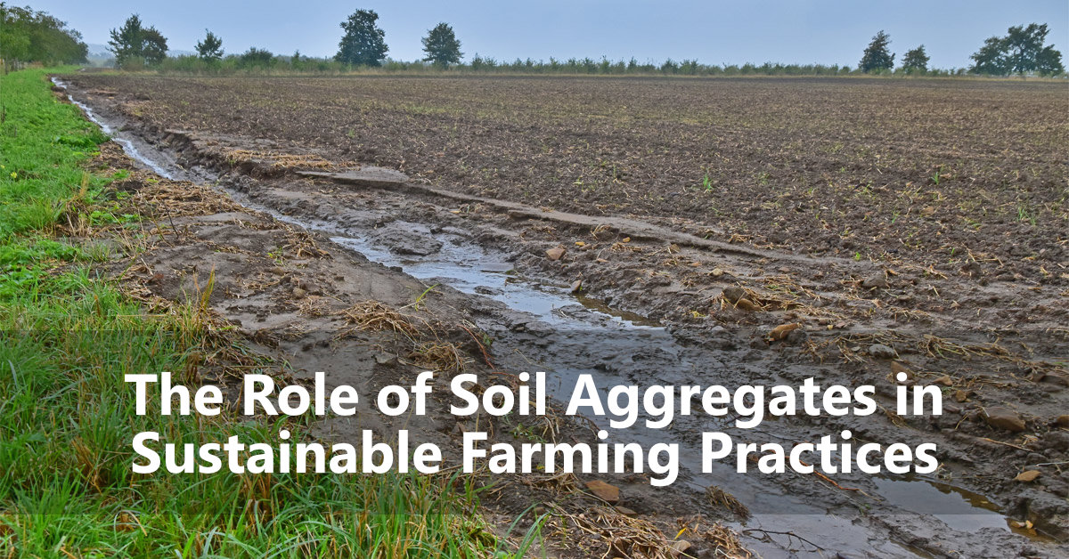 The Role of Soil Aggregates in Sustainable Farming Practices | AgNote