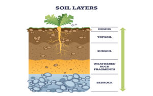 Soil Hardpan: Challenges and Solutions for Farmers | AgNote