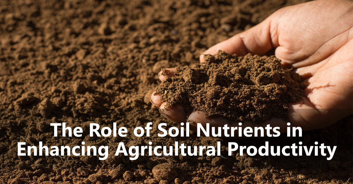 The Role of Soil Nutrients in Enhancing Agricultural Productivity | AgNote