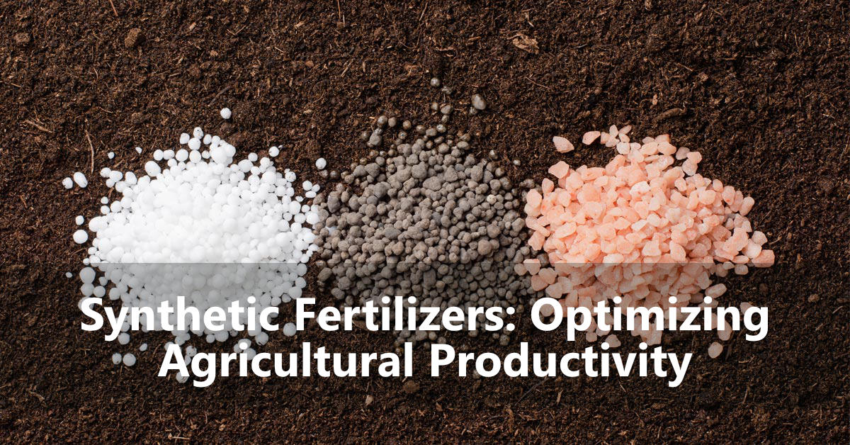 Synthetic Fertilizers: Optimizing Agricultural Productivity | AgNote