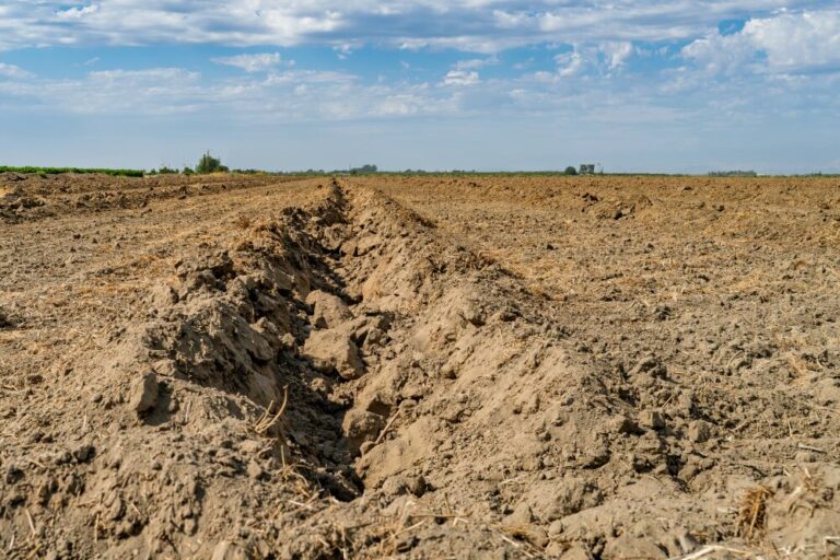 Deep Ripping: Will Boost Your Crop Yields and Soil Health | AgNote