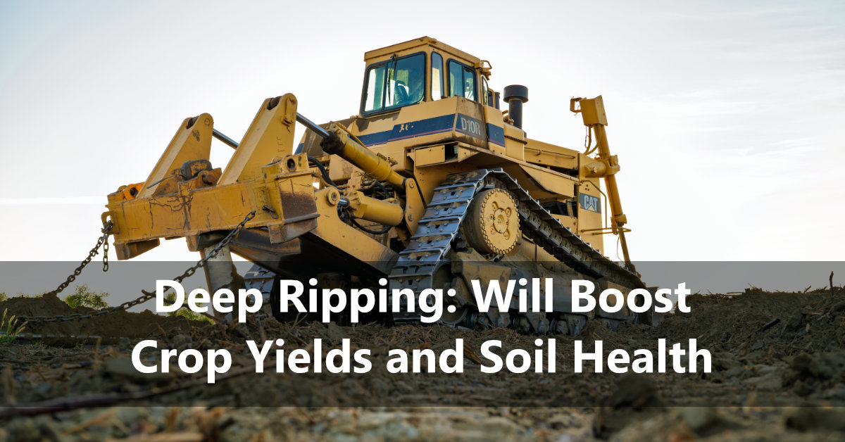 Deep Ripping: Will Boost Your Crop Yields and Soil Health | AgNote