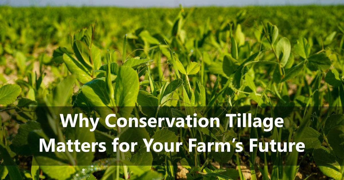 Why Conservation Tillage Matters for Your Farm’s Future | AgNote