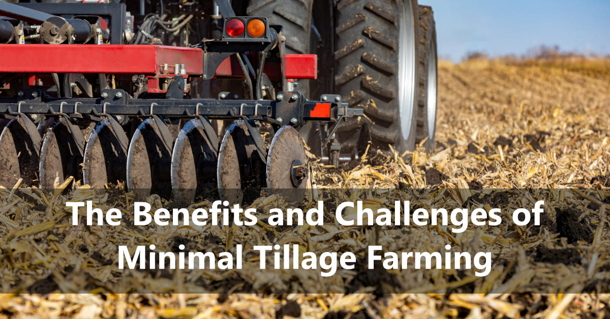 The Benefits and Challenges of Minimal Tillage Farming | AgNote