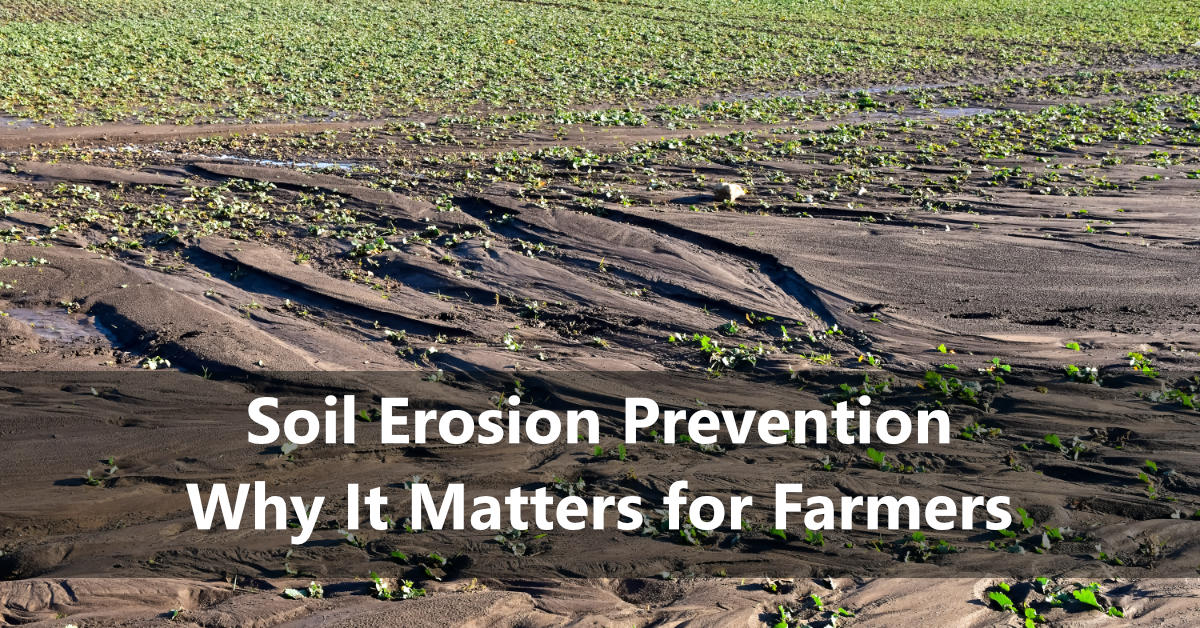 Soil Erosion Prevention: Why It Matters for Farmers | AgNote