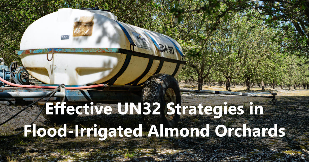 Effective UN32 Strategies in Flood-Irrigated Almond Orchards | AgNote