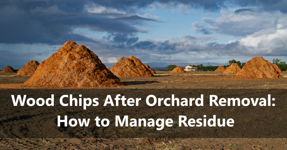 Wood Chips After Orchard Removal: How to Manage Residue | AgNote
