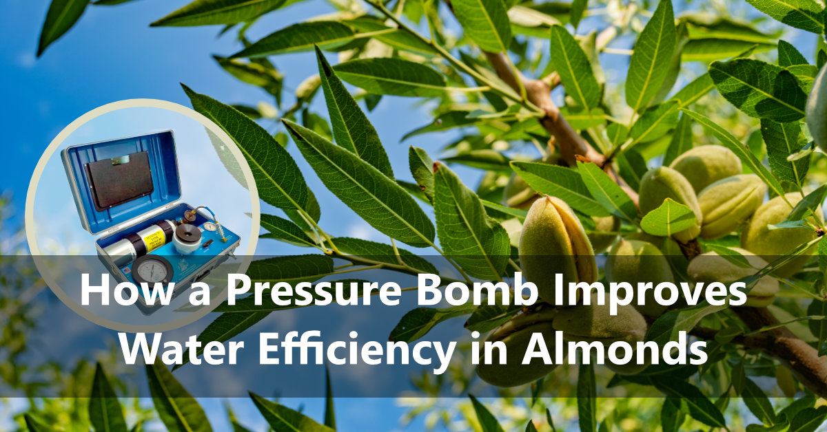 How a Pressure Bomb Improves Water Efficiency in Almonds | AgNote