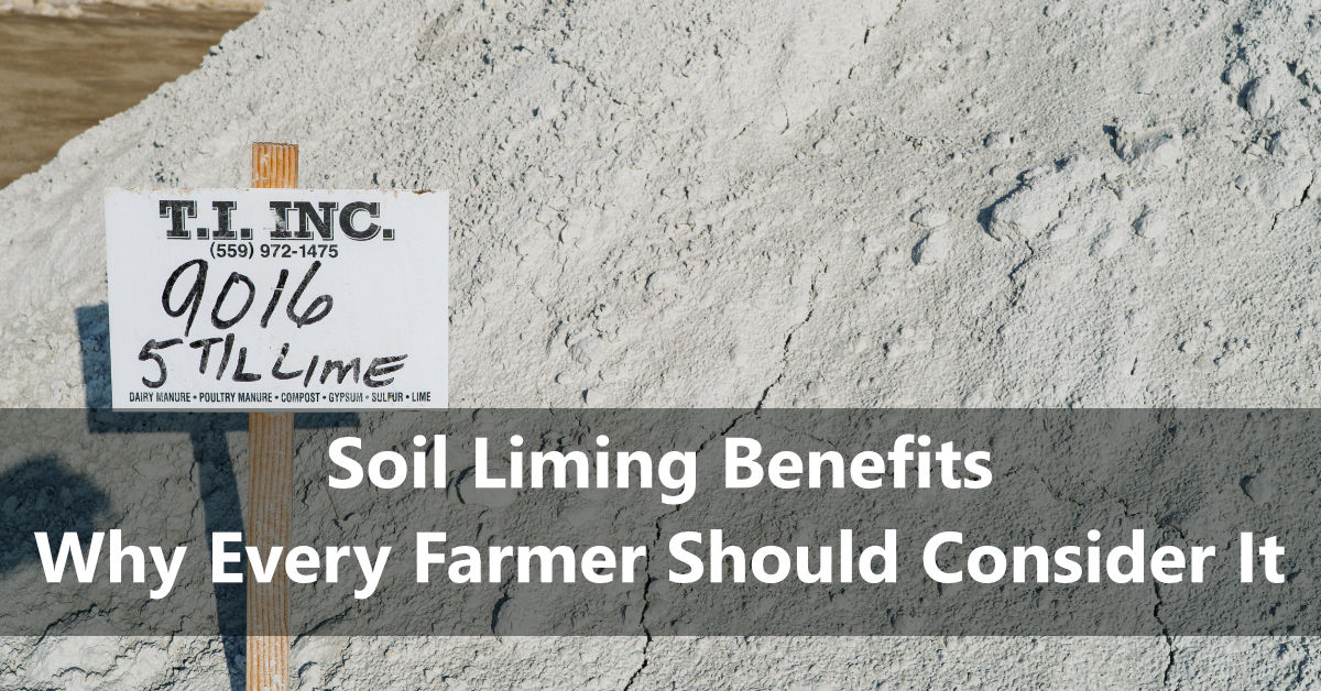 Soil Liming Benefits: Why Every Farmer Should Consider It | AgNote